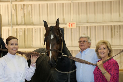 Oklahoma Morgan Grand National & World Championship Horse Show - Photos